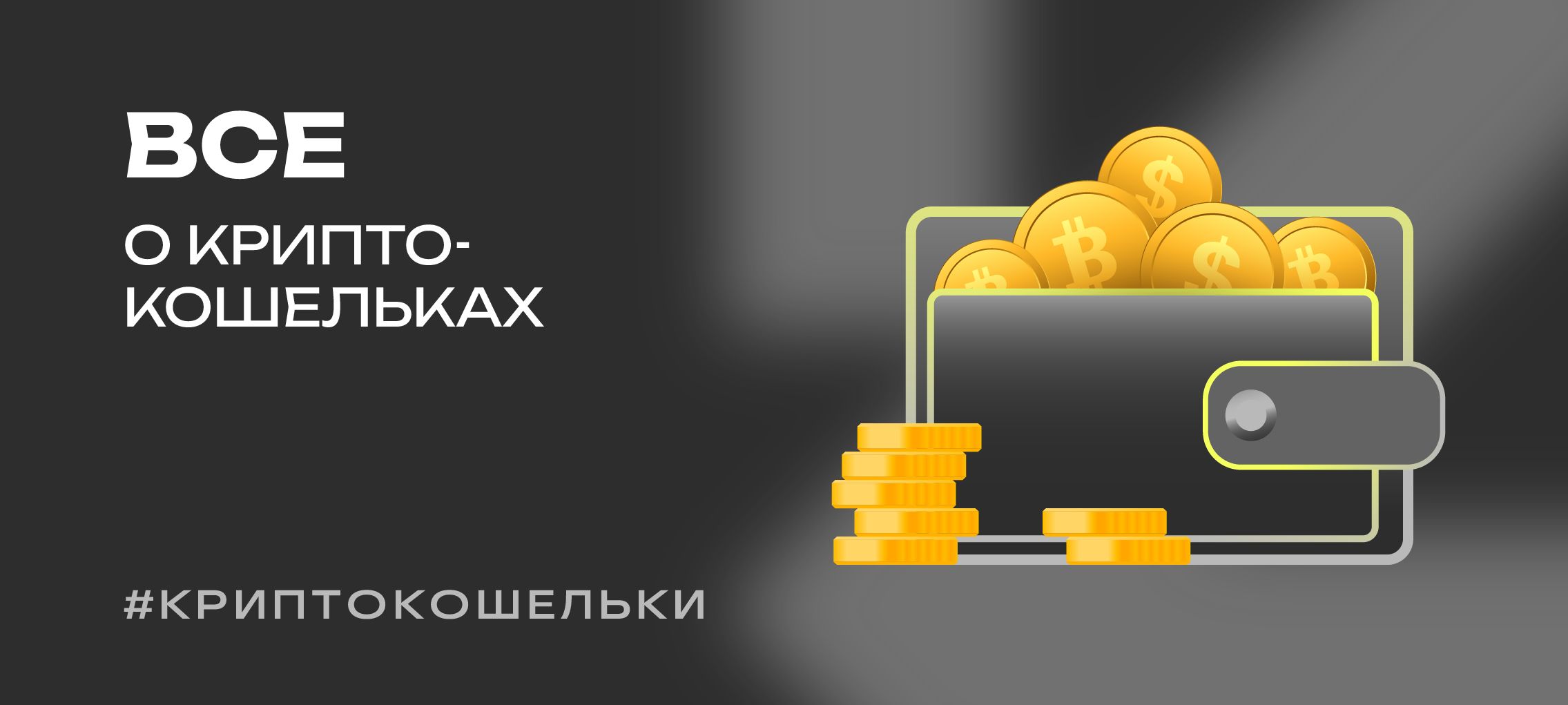Как выбрать криптокошелек — какие бывают кошельки и чем они отличаются ...